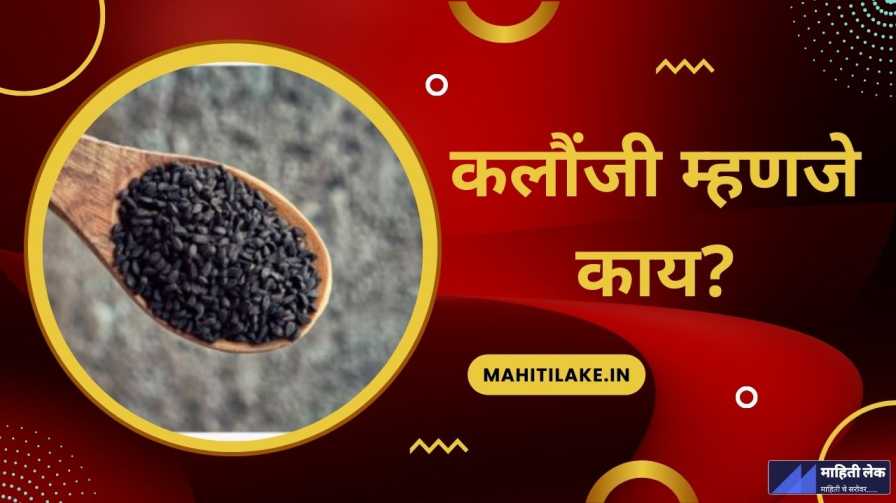 कलौंजी म्हणजे काय? आणि त्यामागील इतिहास - MahitiLake