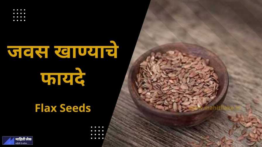 जवस खा आणि तंदुरुस्त राहा.! - MahitiLake