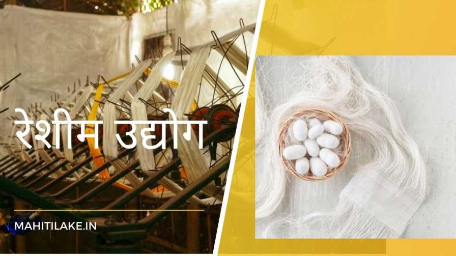 रेशीम उद्योग माहिती मराठी | Reshim udyog - MahitiLake