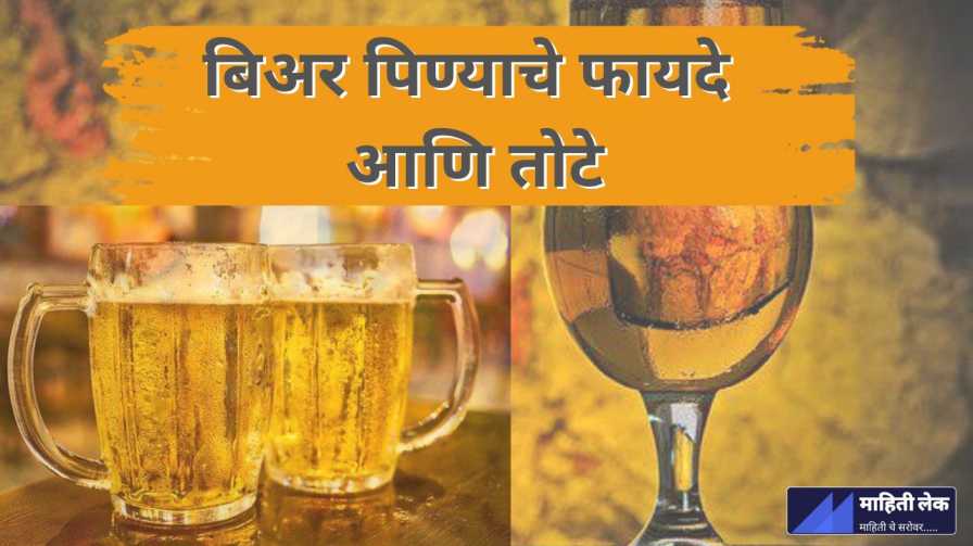 मिलेट ची संपूर्ण माहिती | Millets in marathi - MahitiLake