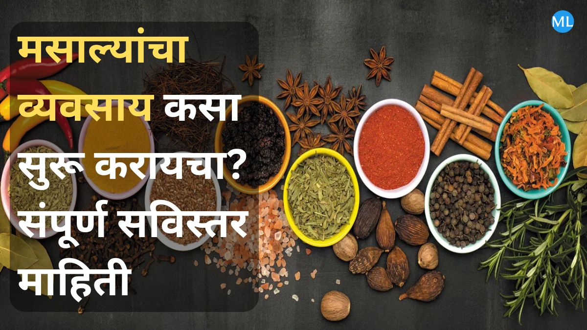 मिलेट ची संपूर्ण माहिती | Millets in marathi - MahitiLake