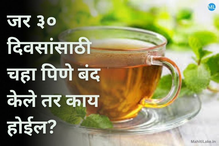 शेळीपालन शास्त्रोक्त पद्धतीने करा, तुम्हाला खर्चाच्या ३ ते ४ पट उत्पन्न मिळेल. - MahitiLake